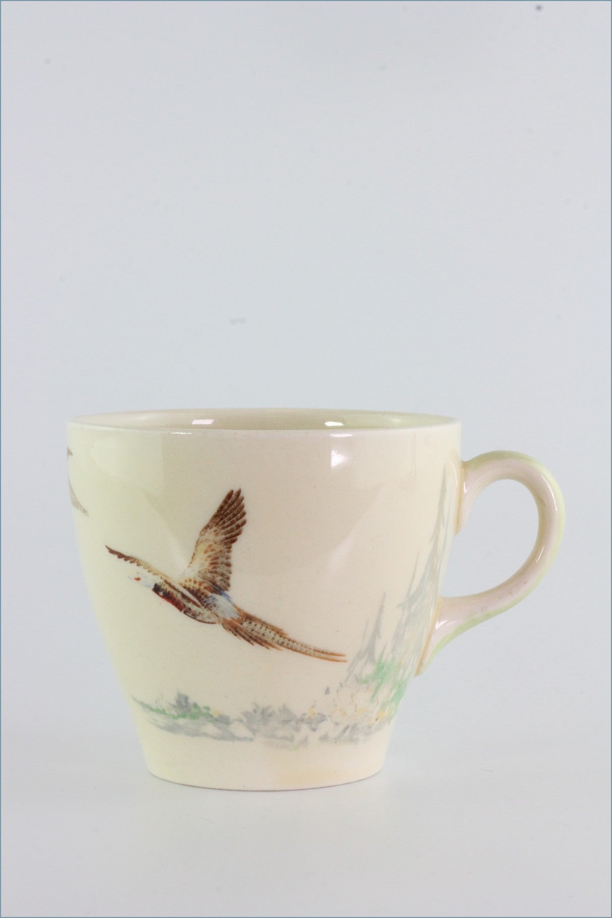 Replacement Royal Doulton Pottery - The Coppice (D5803) – ChinaMatchers